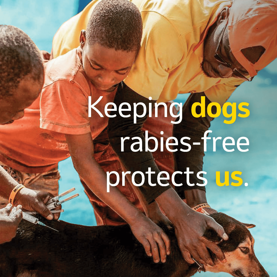 #ForThemForUs | JPA Health ForThemForUs: JPA Health Amplifies Zoonotic ...